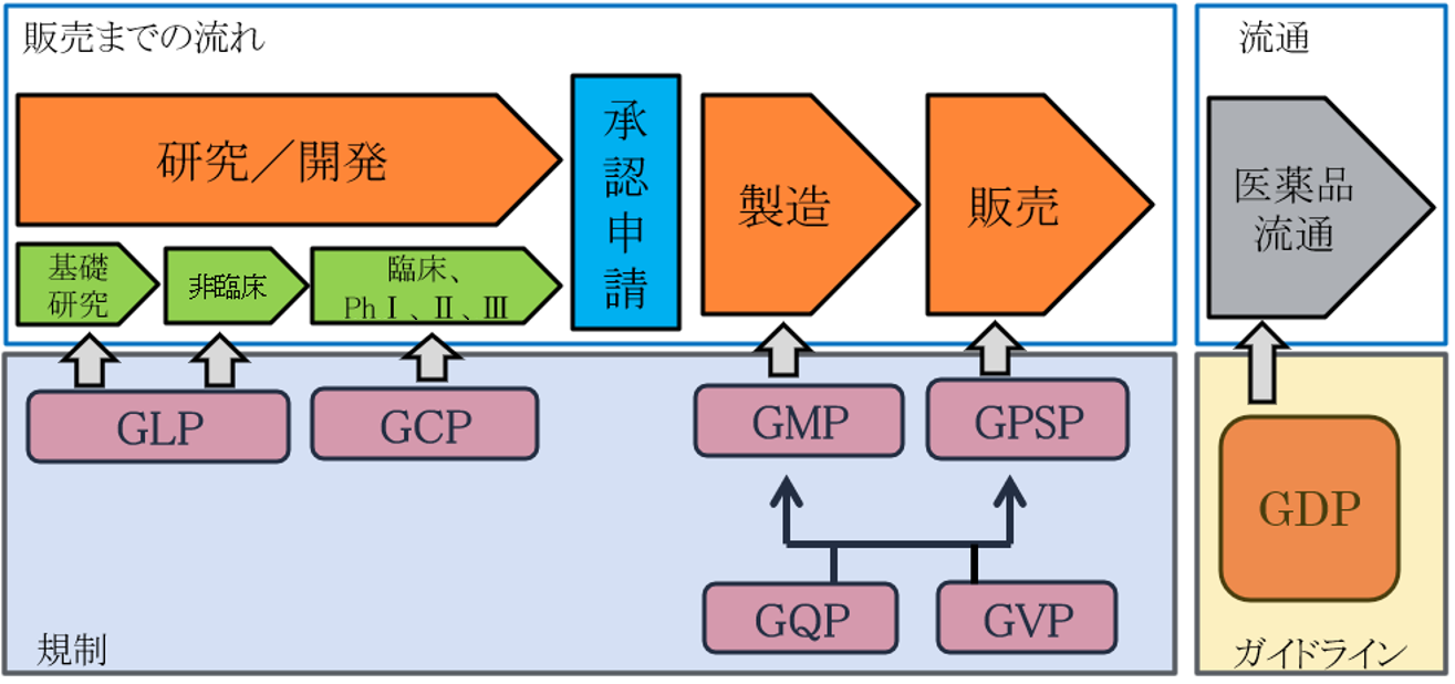 GxP支援サービス│NTEC / 株式会社日本テクノ開発